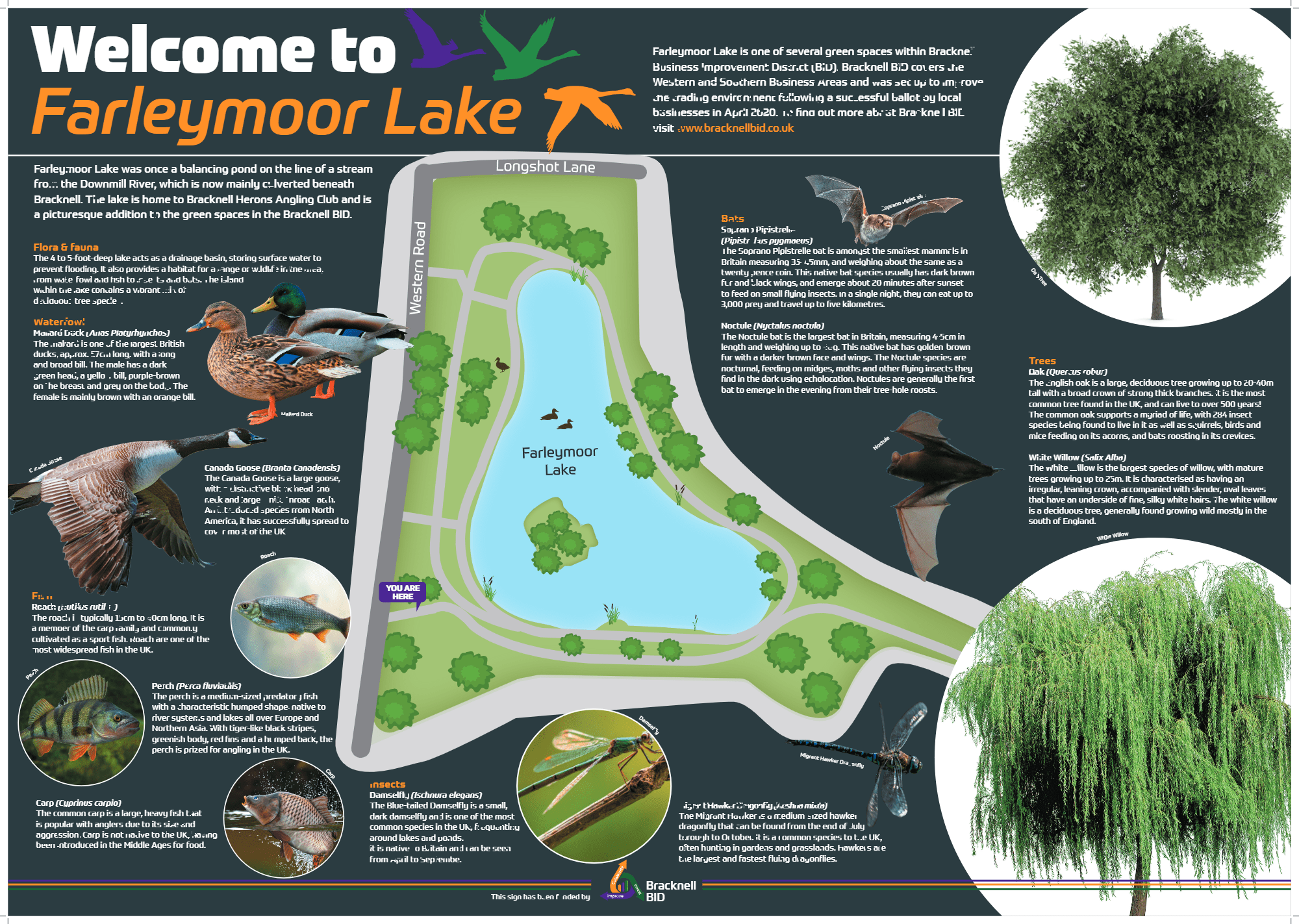 Farleymoor Lake - Bracknell BID