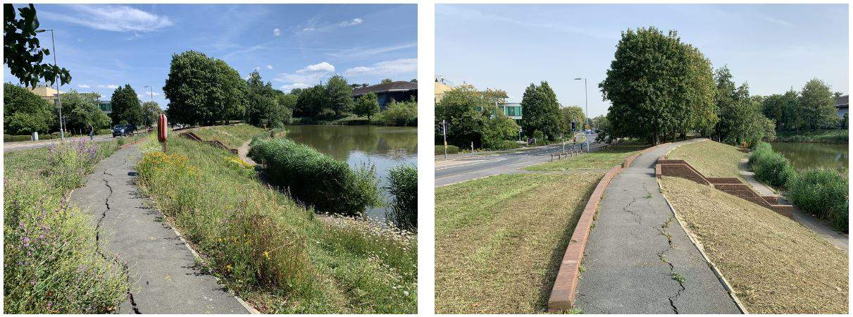 BID funded landscaping works underway across the BID area - Bracknell BID