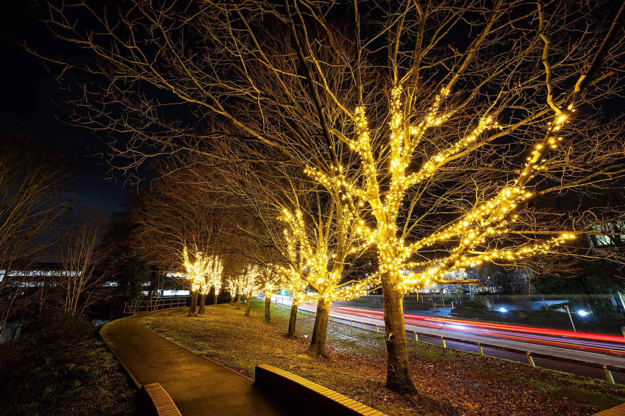Bracknell BID seasonal lighting featured in Bracknell News - Bracknell BID