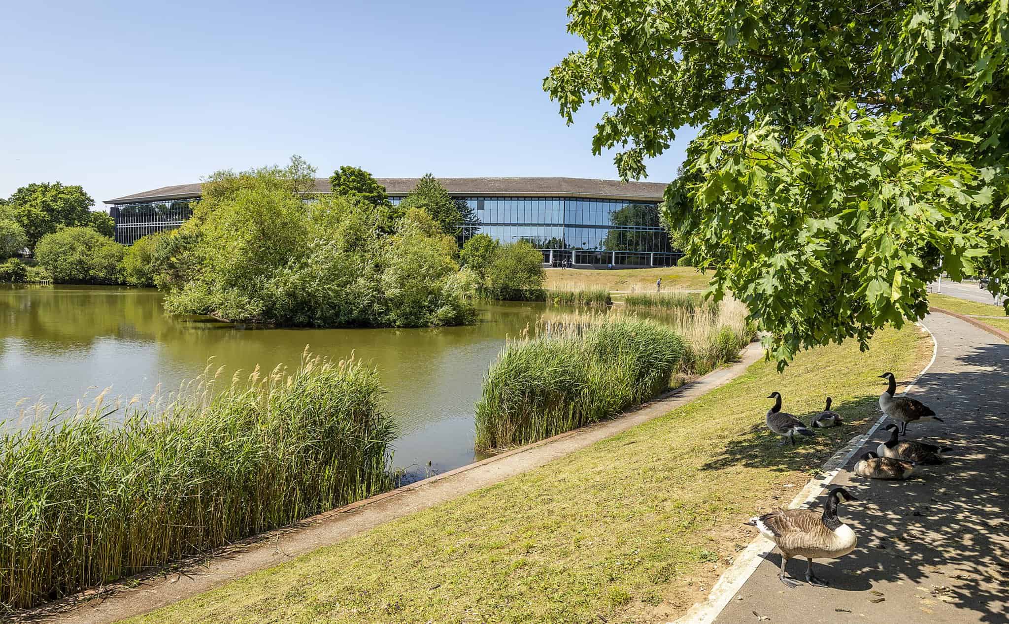 Events Archive - Bracknell BID