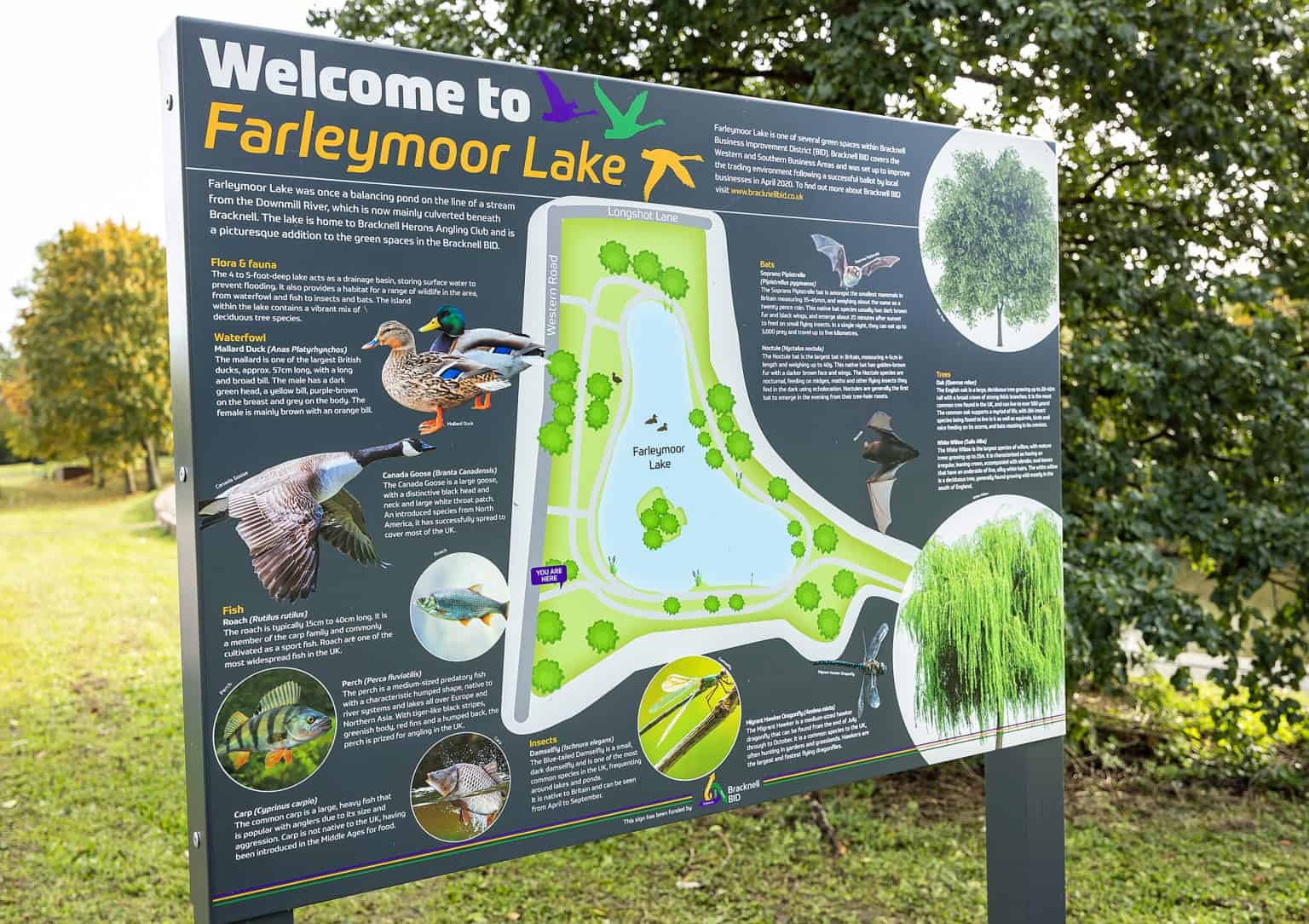 Farleymoor Lake - Bracknell BID
