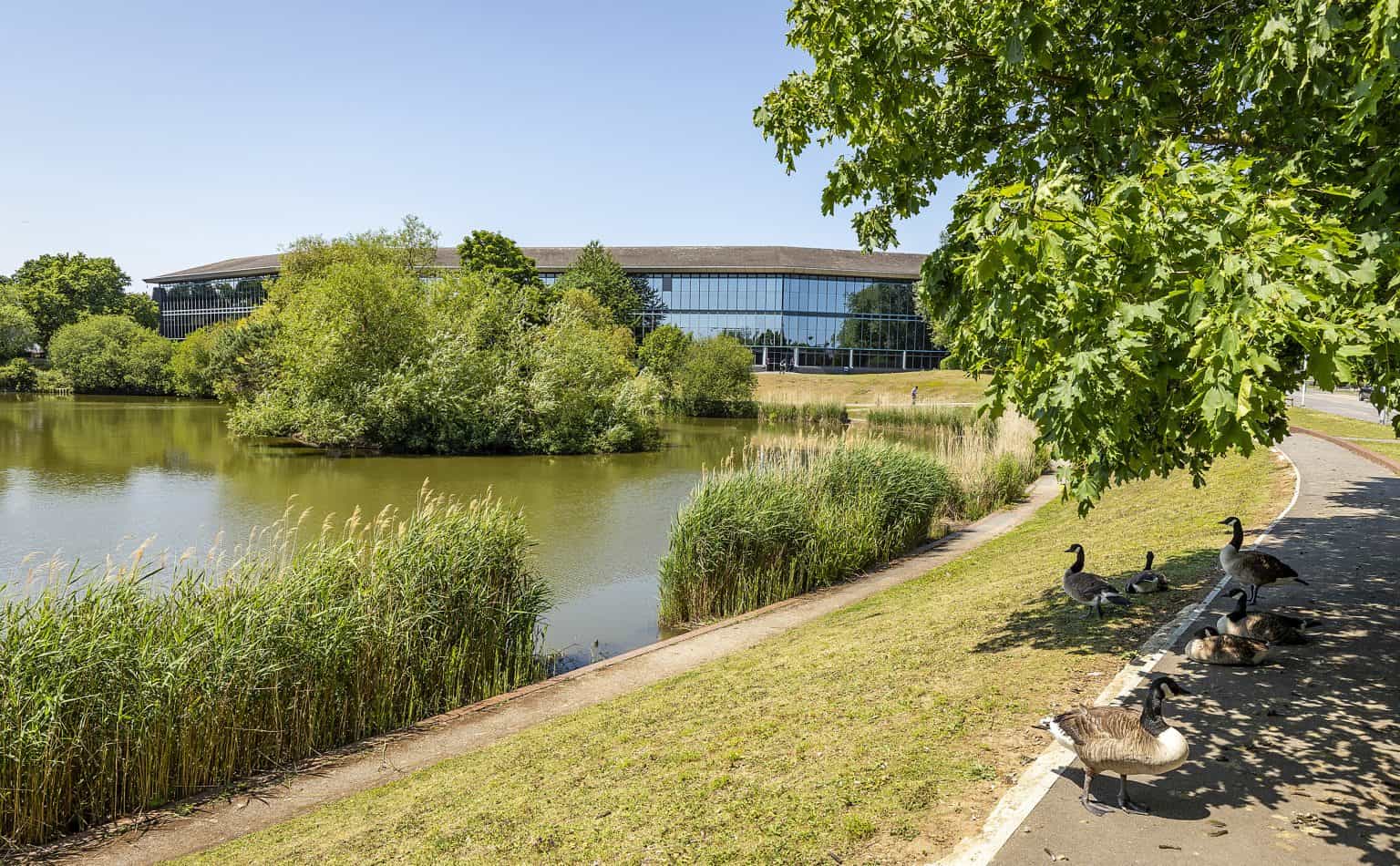 Home - Bracknell BID